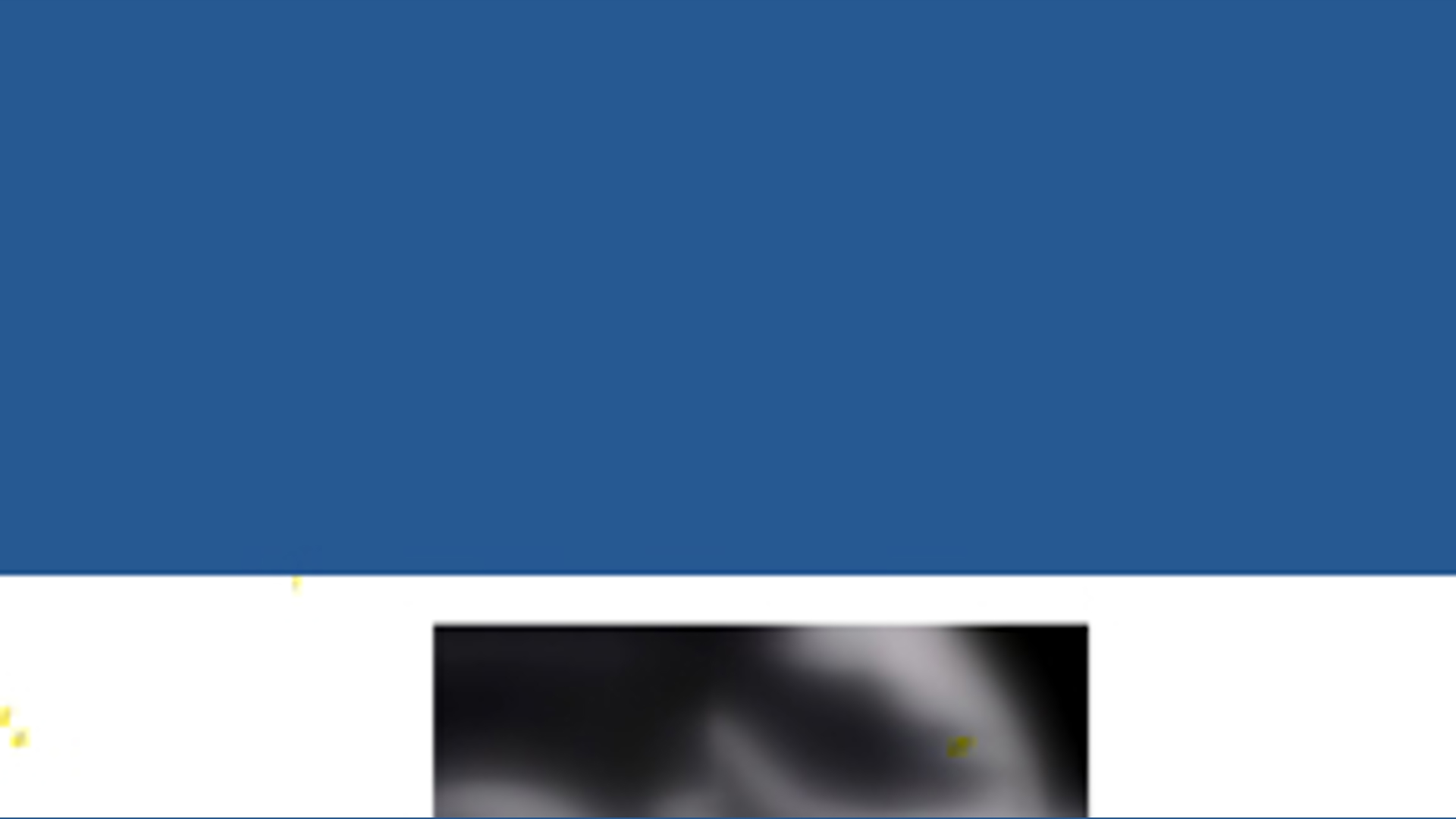 Texas ice art adventure!