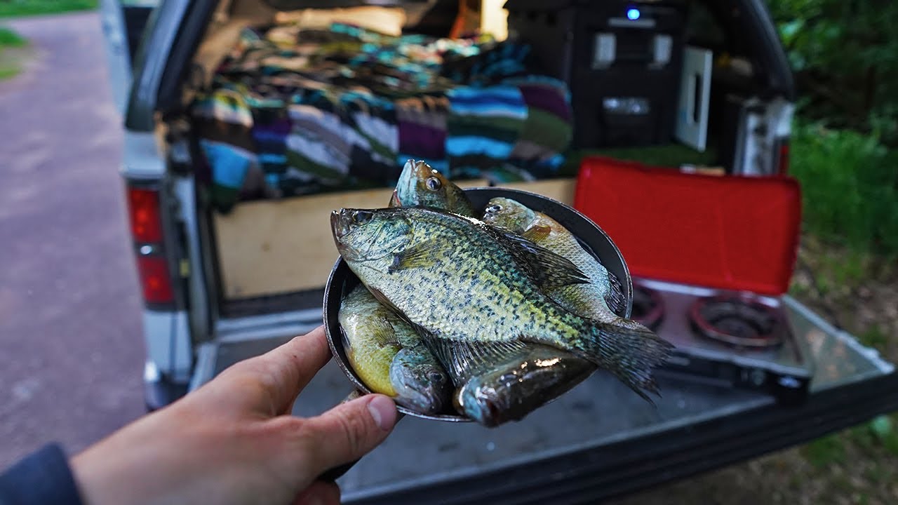 Crappie/panfish catch, camp, cook in my truck