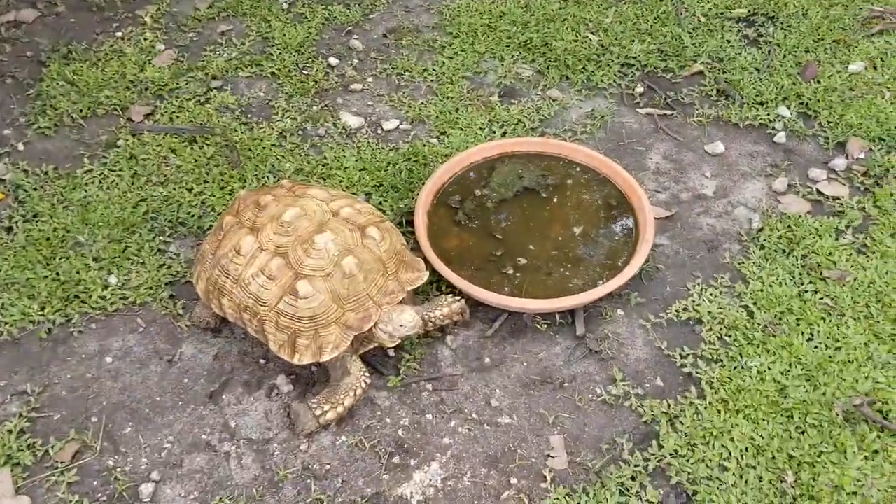 My first time inside an exotic animal ranch