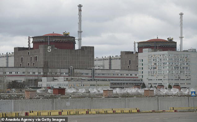Russia 'is risking nuclear catastrophe by restarting captured power plant'