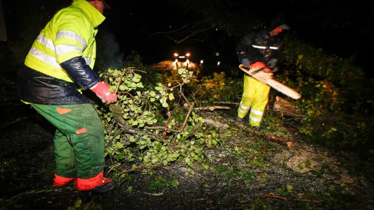 Más de 800 incidencias por el temporal en Galicia: Pontevedra concentra ...