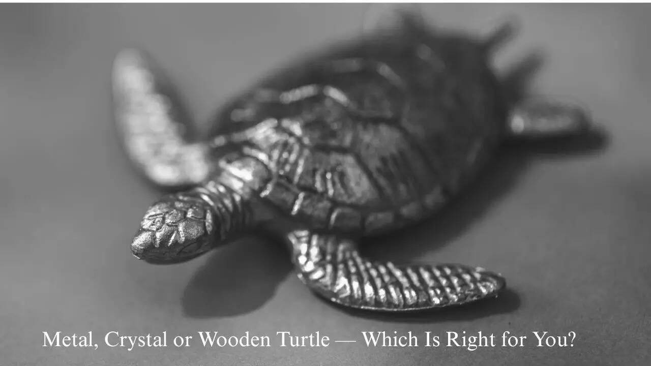 Metal, crystal or wooden turtle — which is right for you?
