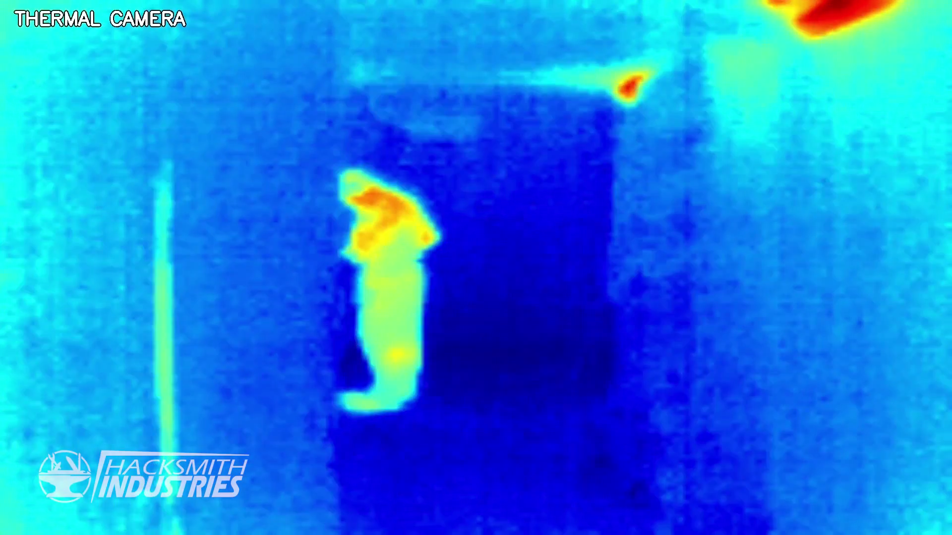 Predator vision explained in real life