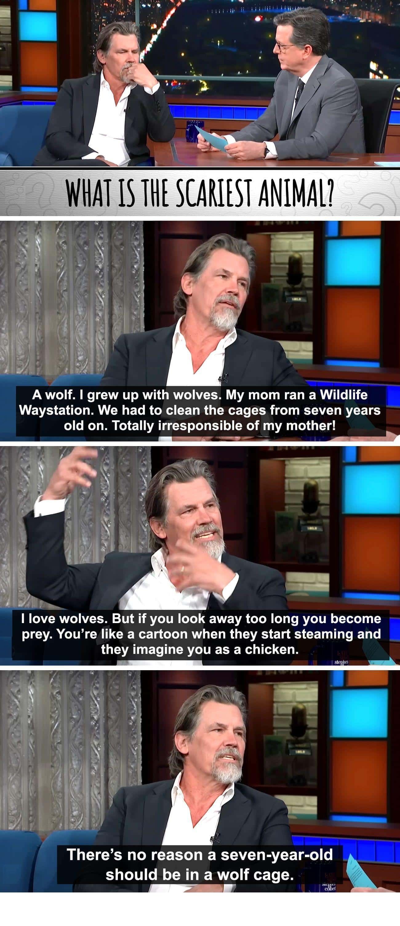 33+ funny answers to Stephen Colbert's questionnaire