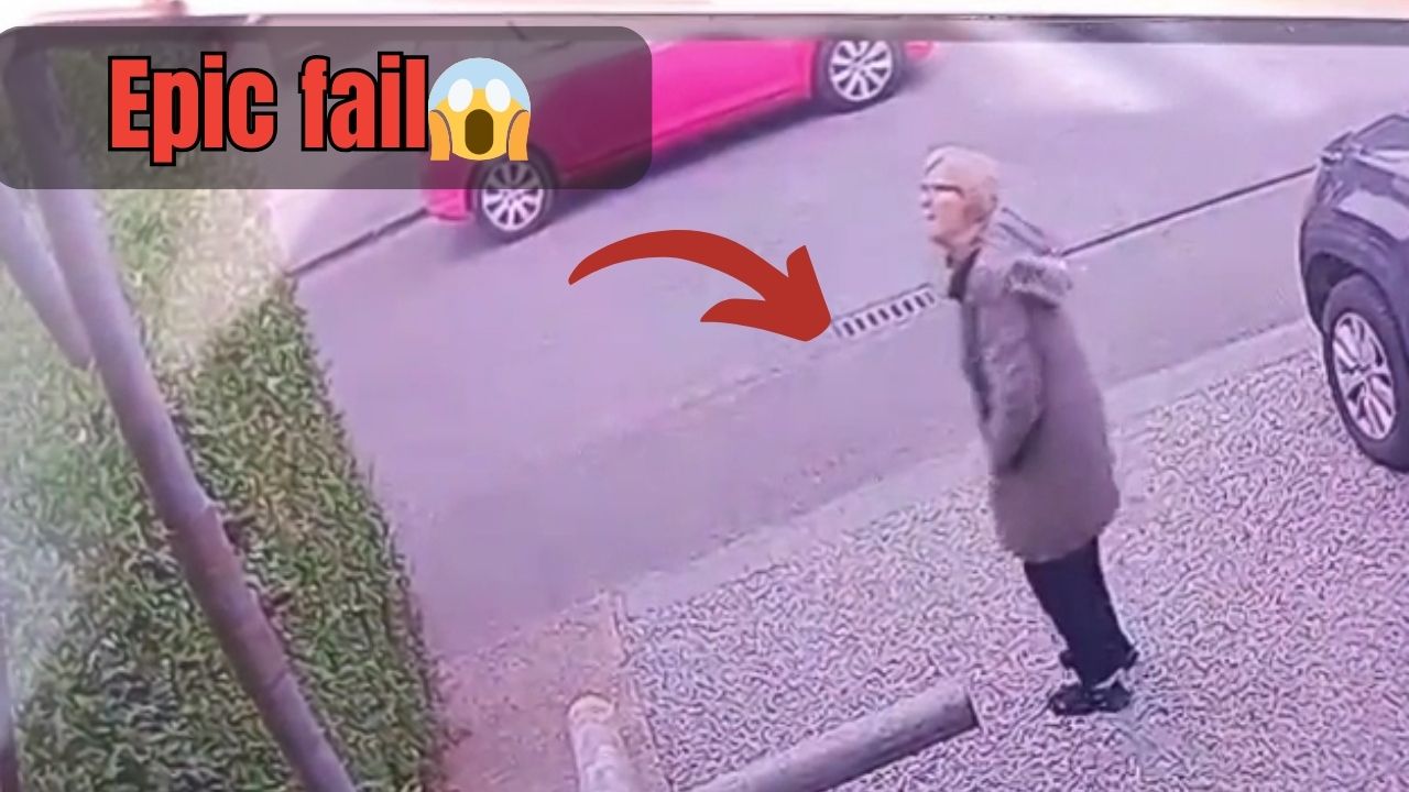 Woman trips into bush while being distracted by roof repairs next door