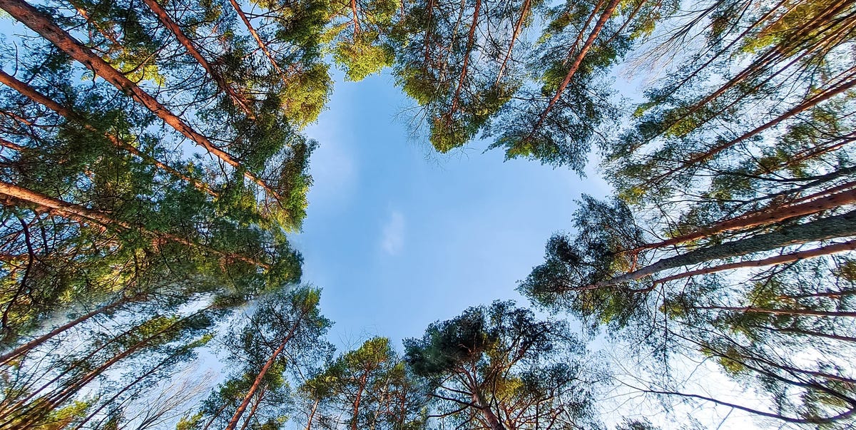 99 Valentine's Day messages to write in a card