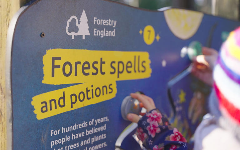 Forestry England Gisburn launches magical Room on the Broom Trail
