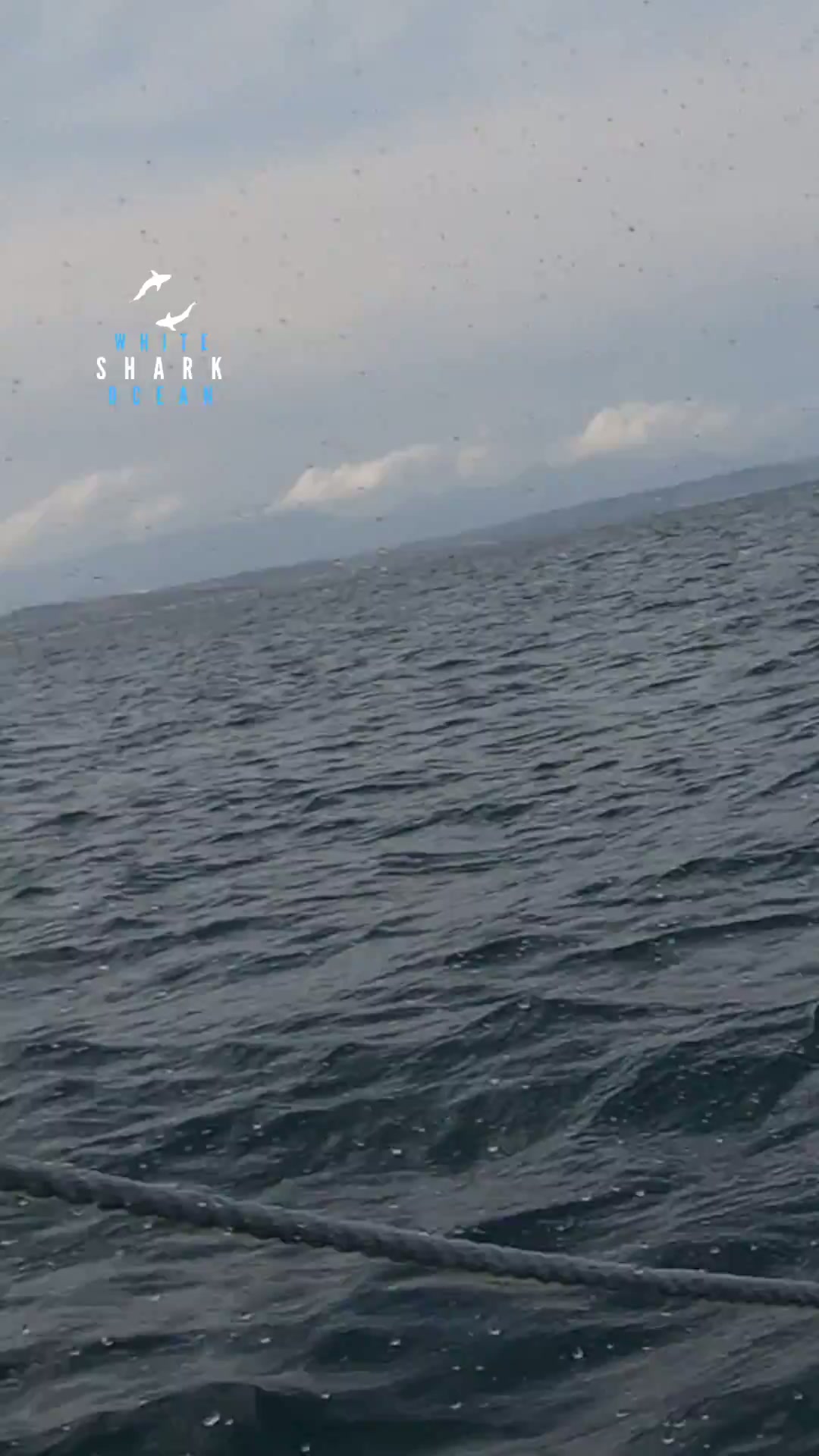 Big Great White Rockets Over The Surface