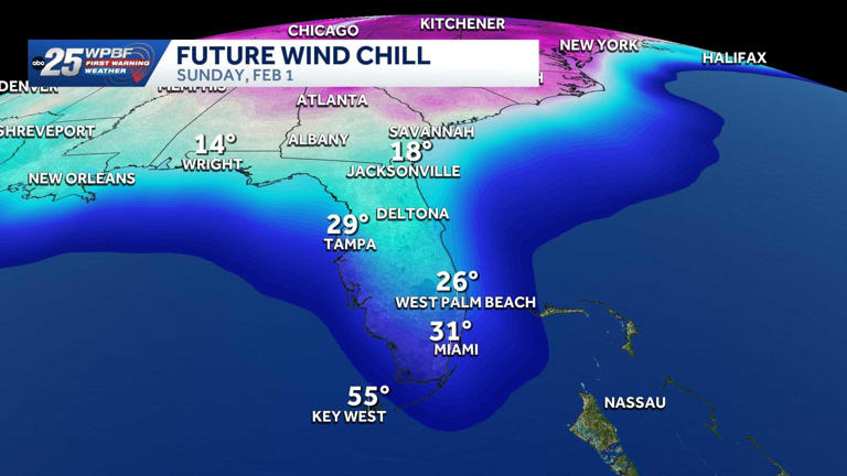 Freeze alerts hit as South Florida faces its coldest air in years