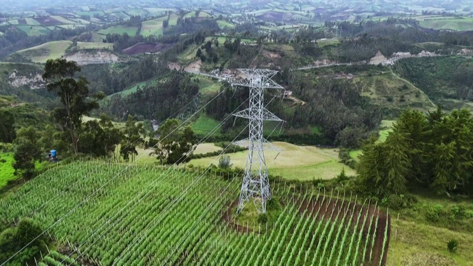 Ecuador subirá 900 % tarifa de transporte del crudo colombiano