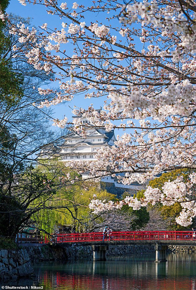 Why visiting one of Japan's most popular tourist sights could be even ...