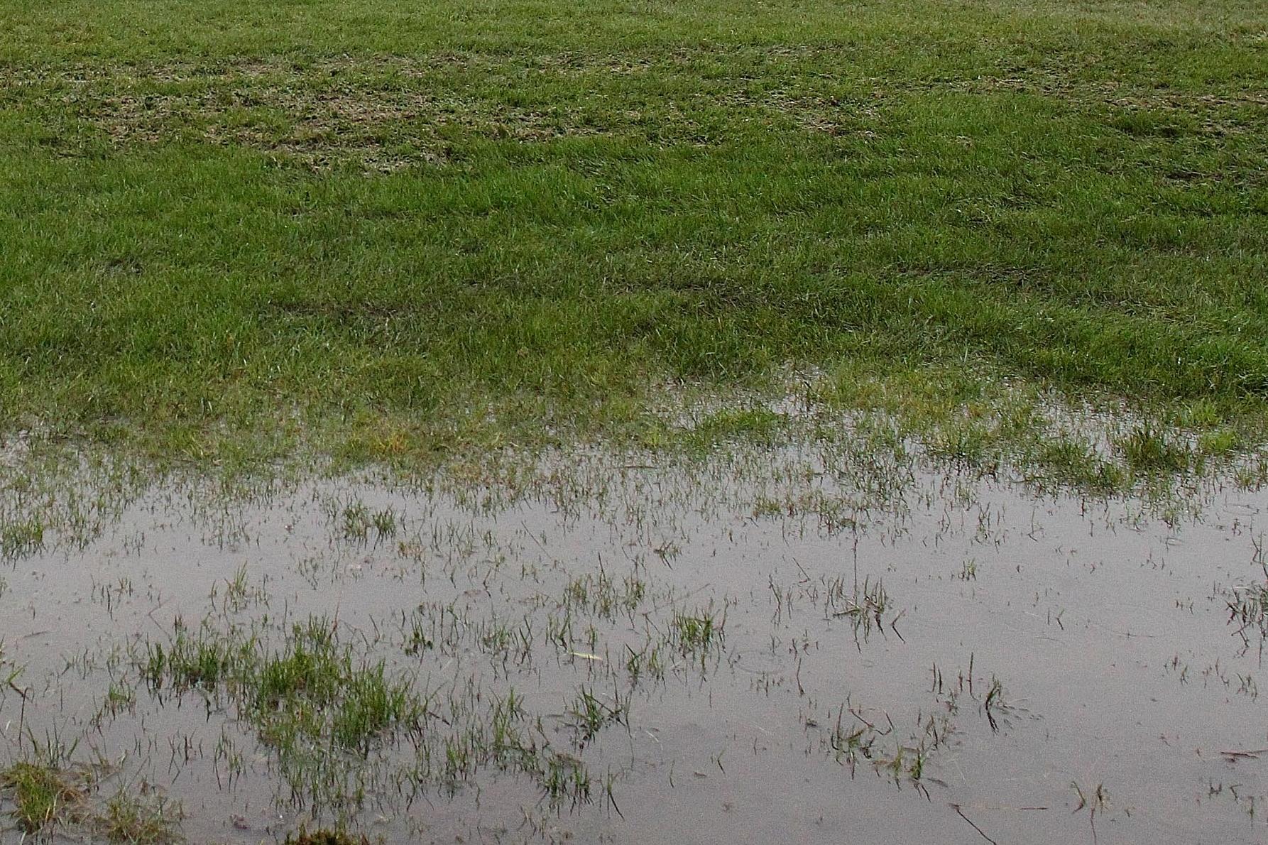 Storm Chandra weather warnings as midweek Northern Ireland football ...