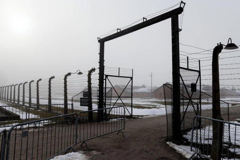 Giorno della memoria, Meloni: “Pagina buia, condanniamo complicità del ...