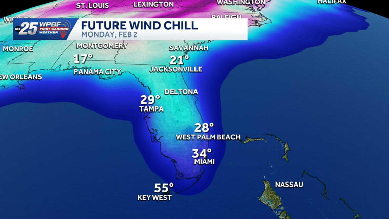 Freeze alerts hit as South Florida faces its coldest air in years