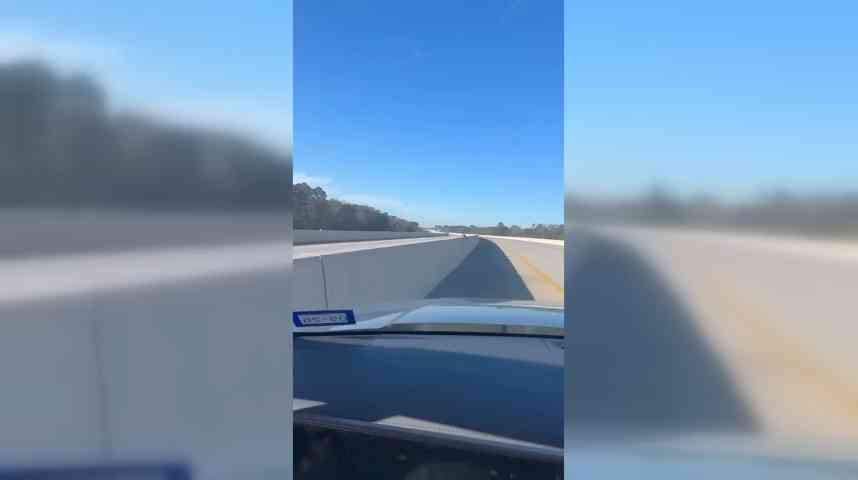 Se detiene en plena carretera, ve a un gatito solo y su decisión cambia ...