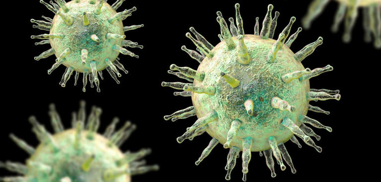 Epstein-Barr-Virus - „Bei fast allen Autoimmunkrankheiten könnte das ...