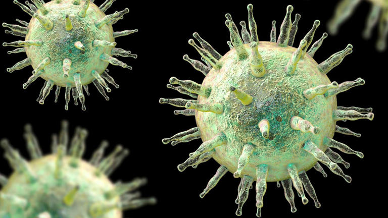 Epstein-Barr-Virus - „Bei fast allen Autoimmunkrankheiten könnte das ...