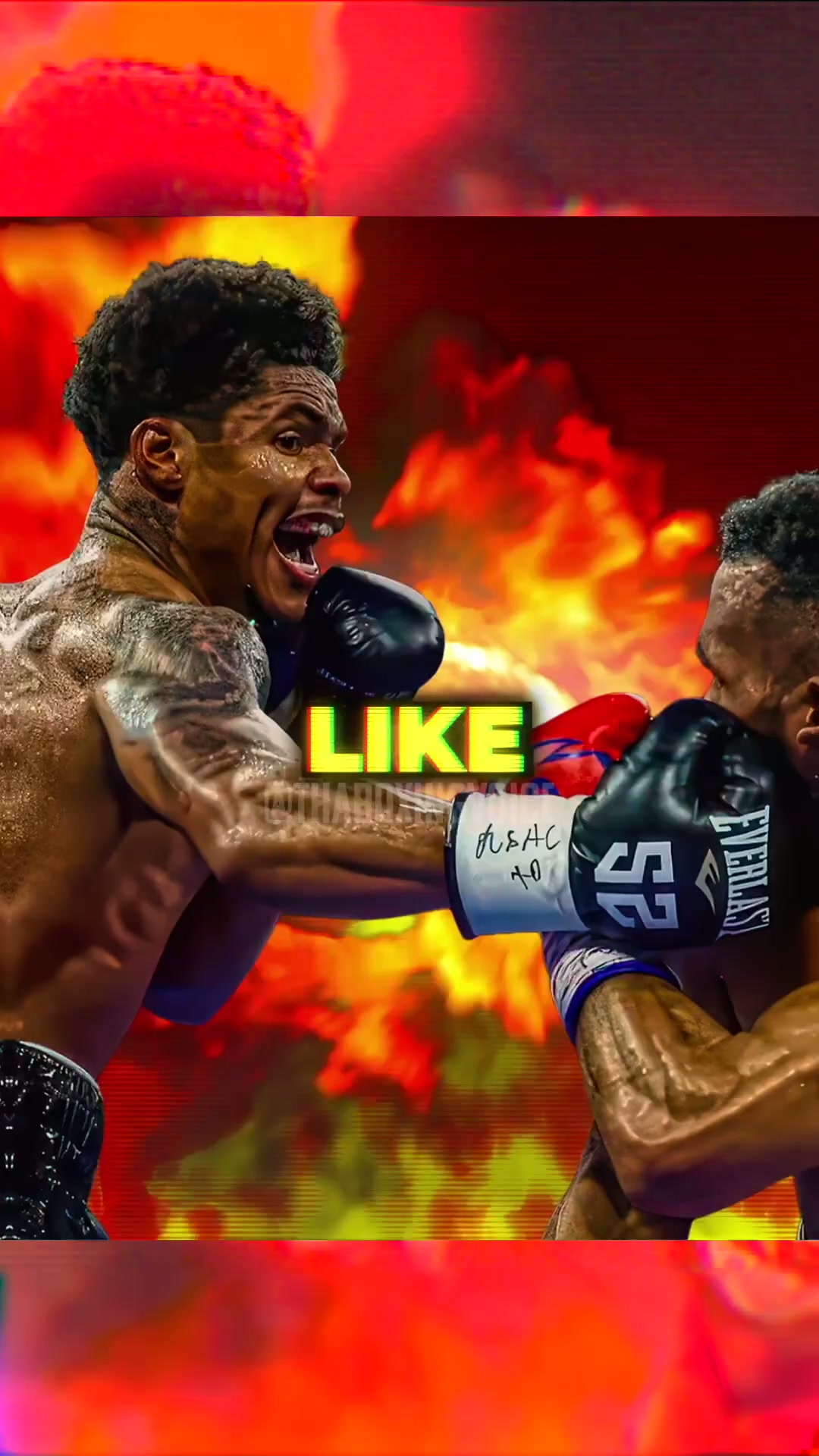 Shakur Stevenson is Floyd 'Money' Mayweather without the Pretty Boy era ...