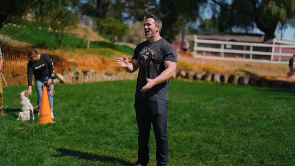 What people get wrong about “distance makes it easier” for anxious dogs