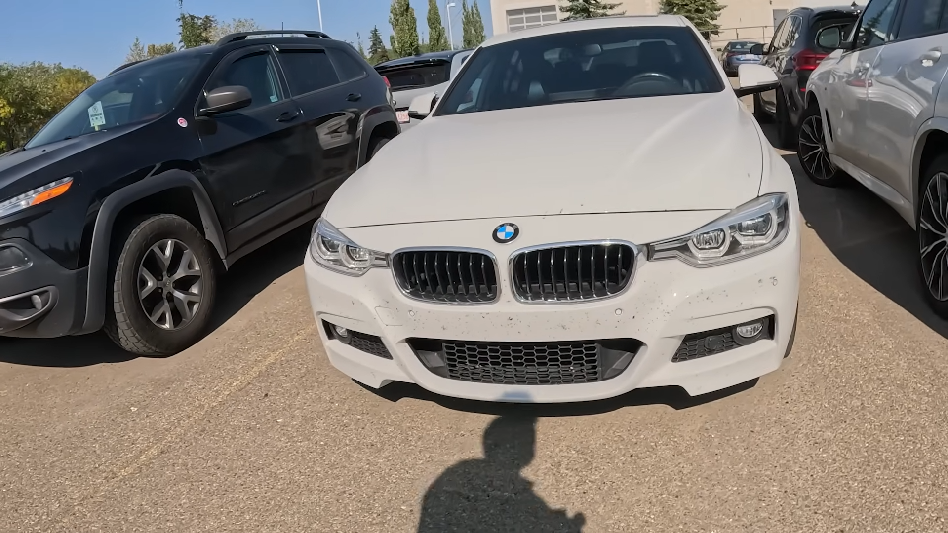 What your car reveals about your intelligence