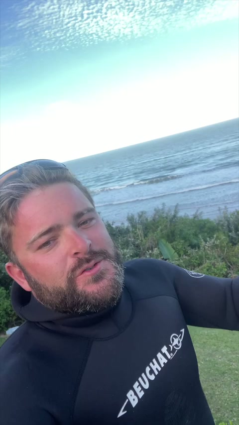 Sardine run update 24/05/2023 Chintsa