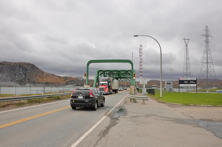 Turtle conservationist calls for action to fix Canso Causeway