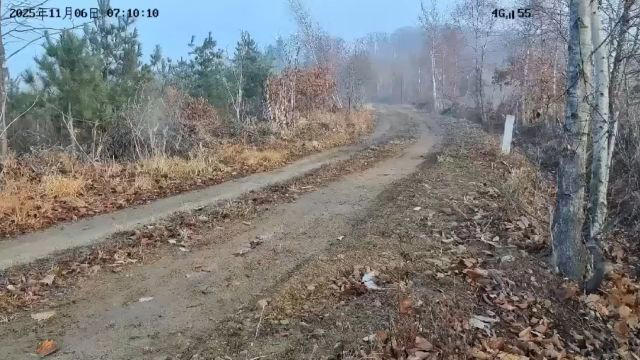 Experts thrilled after trail cameras capture heartwarming scene in ...