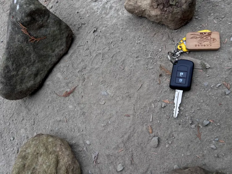 台灣黑熊連闖阿里山工寮! 專家研判為同一隻