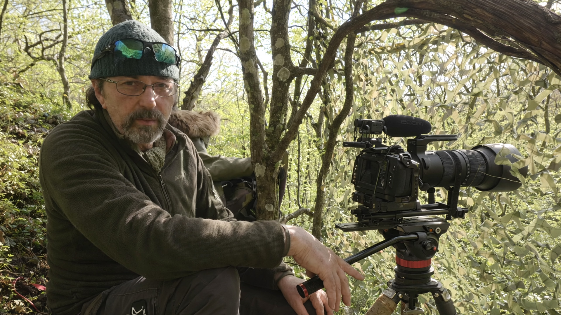 Black storks nest abandonment puts film project on hold