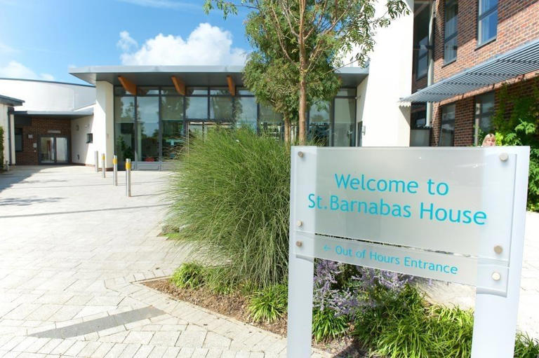 Stuart Palma, Southern Hospice Group: Working together for the future ...