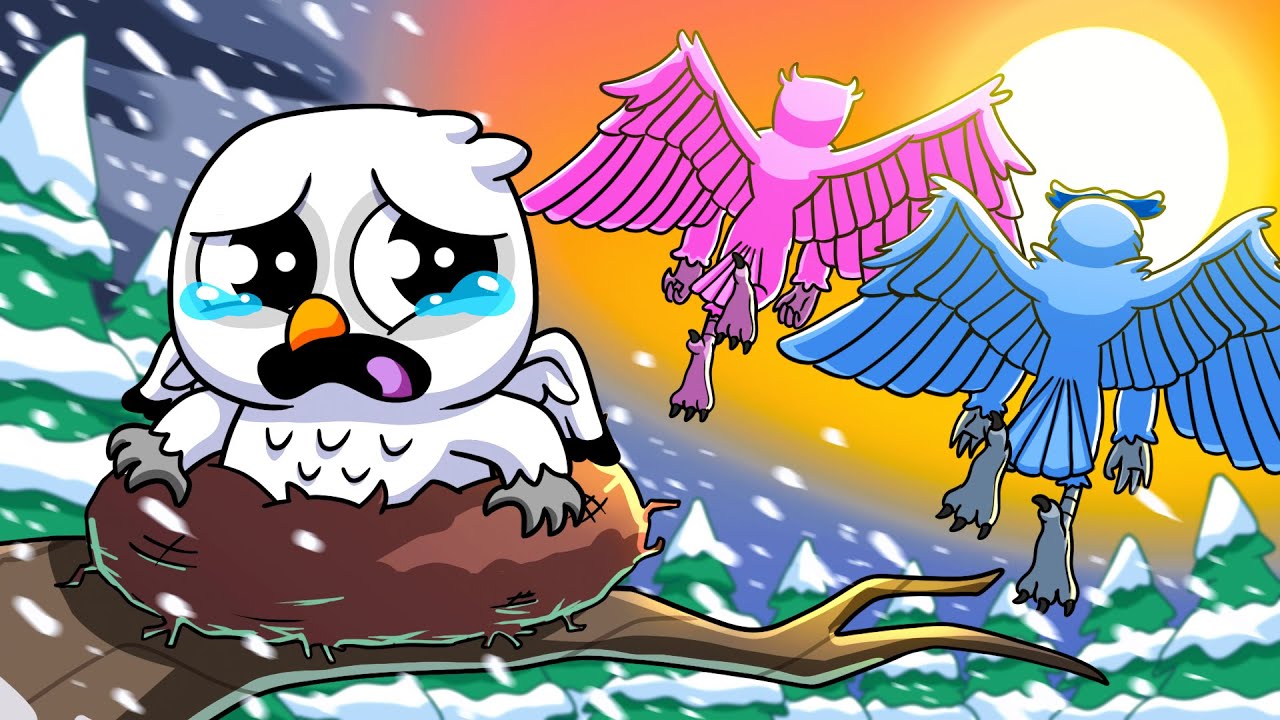 The sad story of the owl abandoned at birth