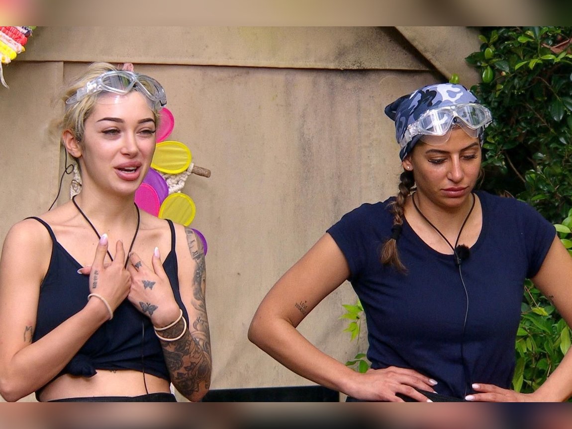 After Ariel's refusal: Jungle Camp fans demand consequences