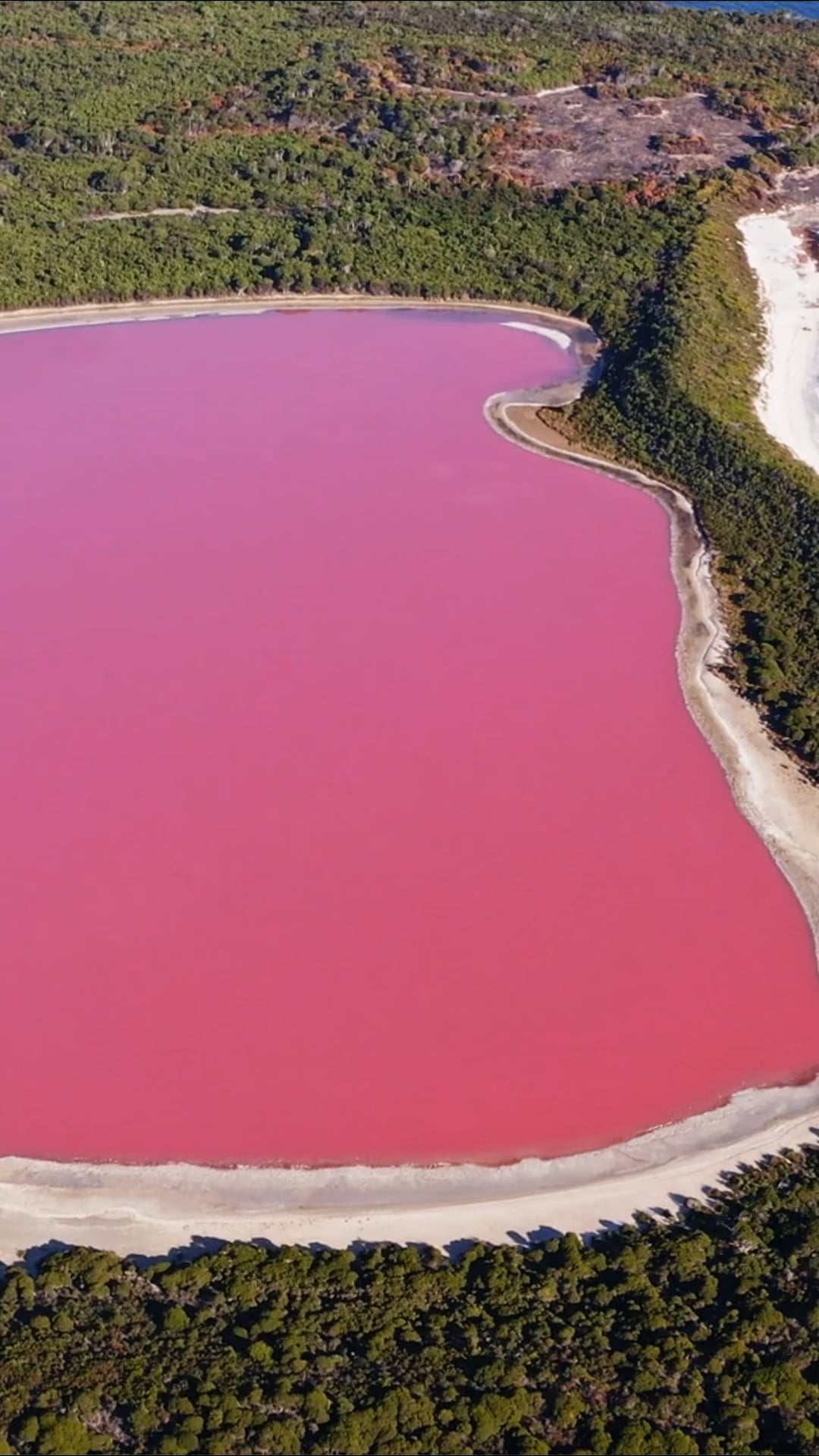 Drone explores Australia’s astonishing Pink Lake Hillier