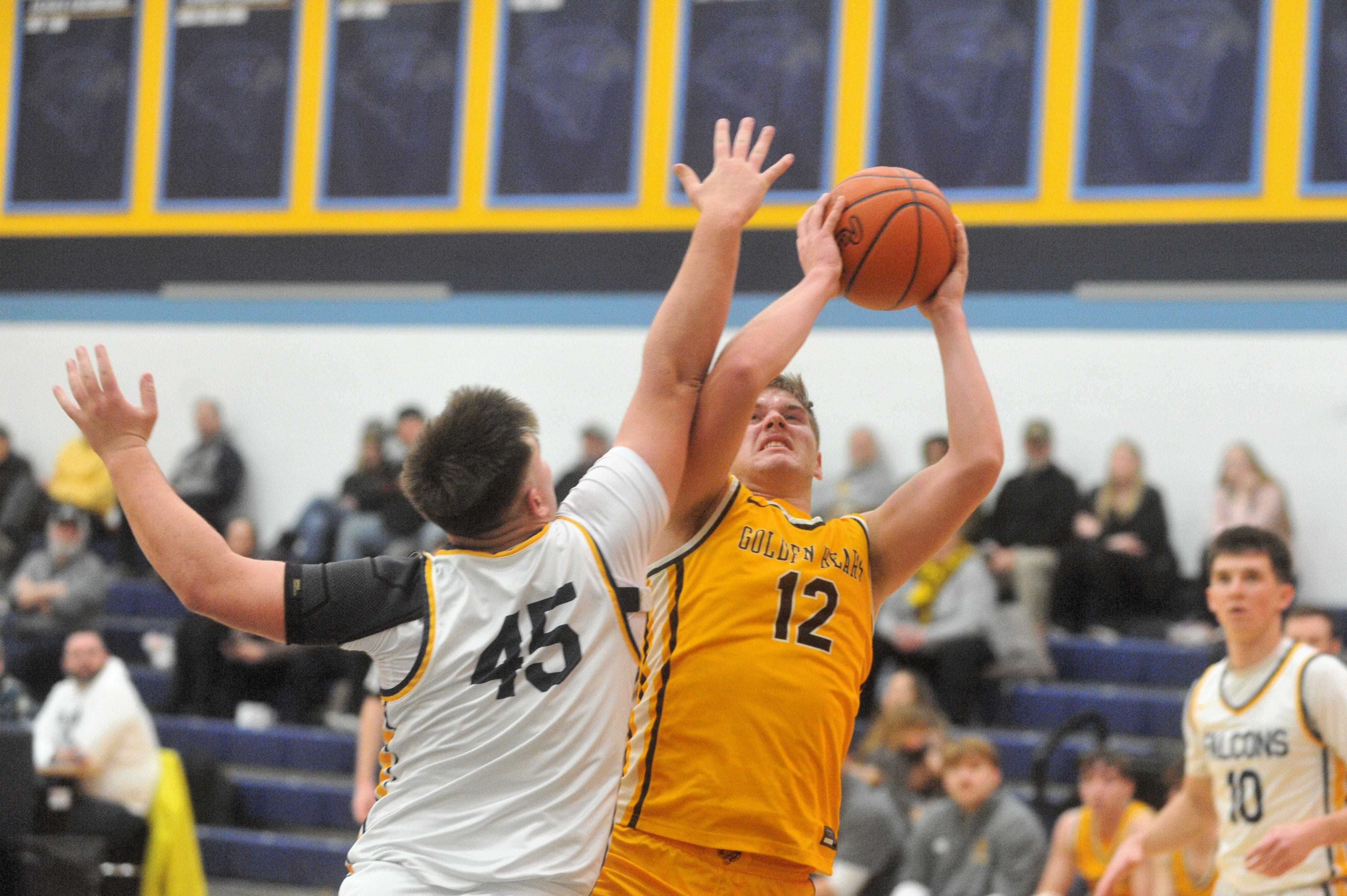 Wayne/Holmes County boys basketball rankings - A chaotic week it was