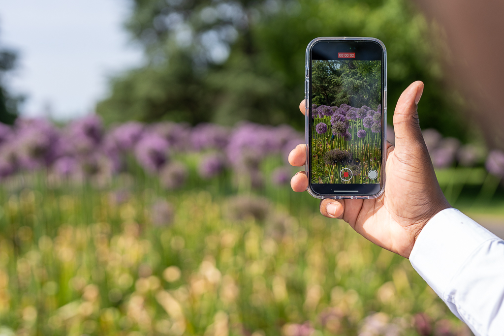 Best smartphones for video and content creators – cinematic reels made easy