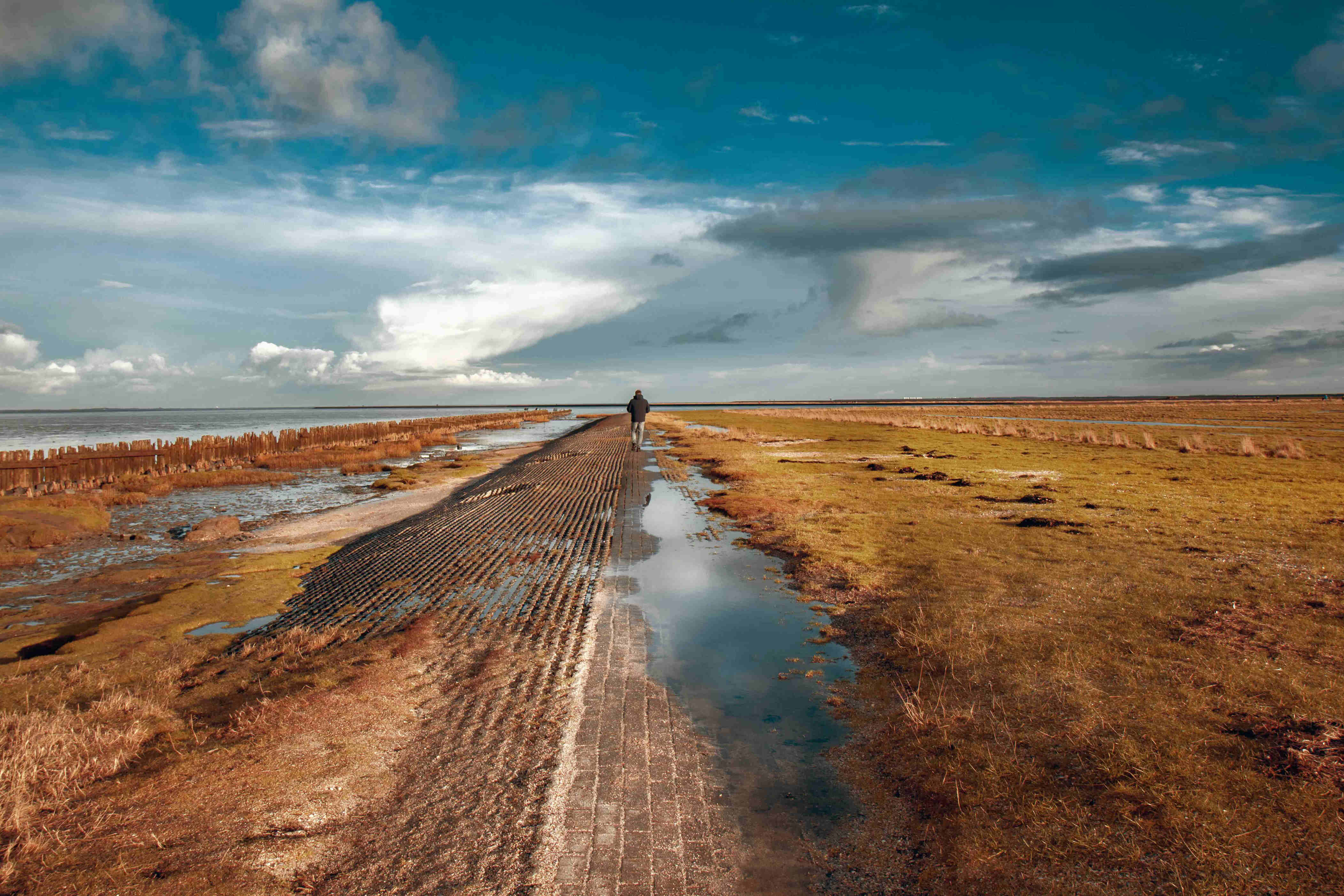 Winter in Friesland: deze 5 bijzondere uitjes wil je dit seizoen niet ...