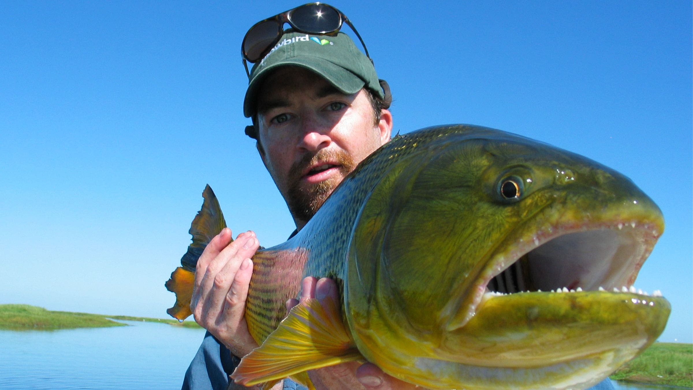 I lost my vision fly fishing on a jungle river. Here’s what it was like.