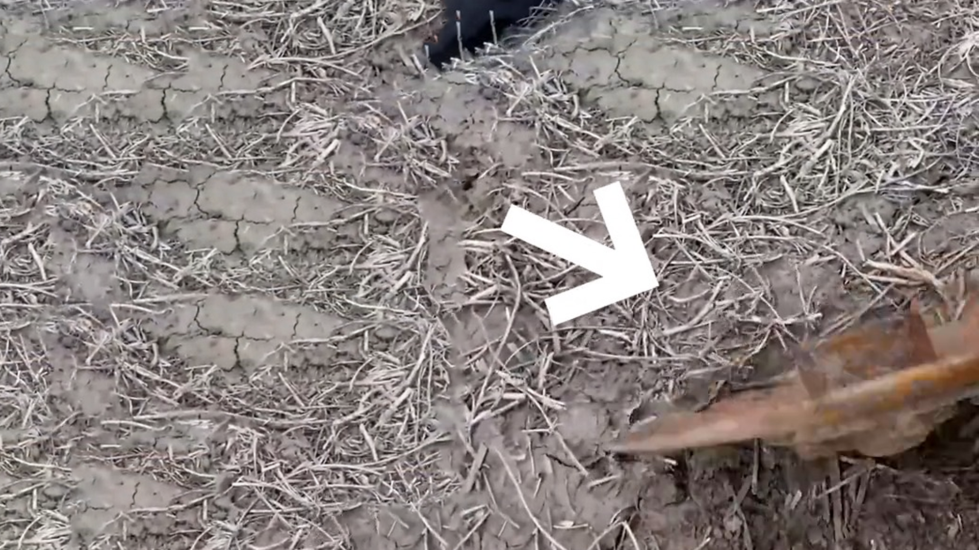 Hidden treasure hunt adventure