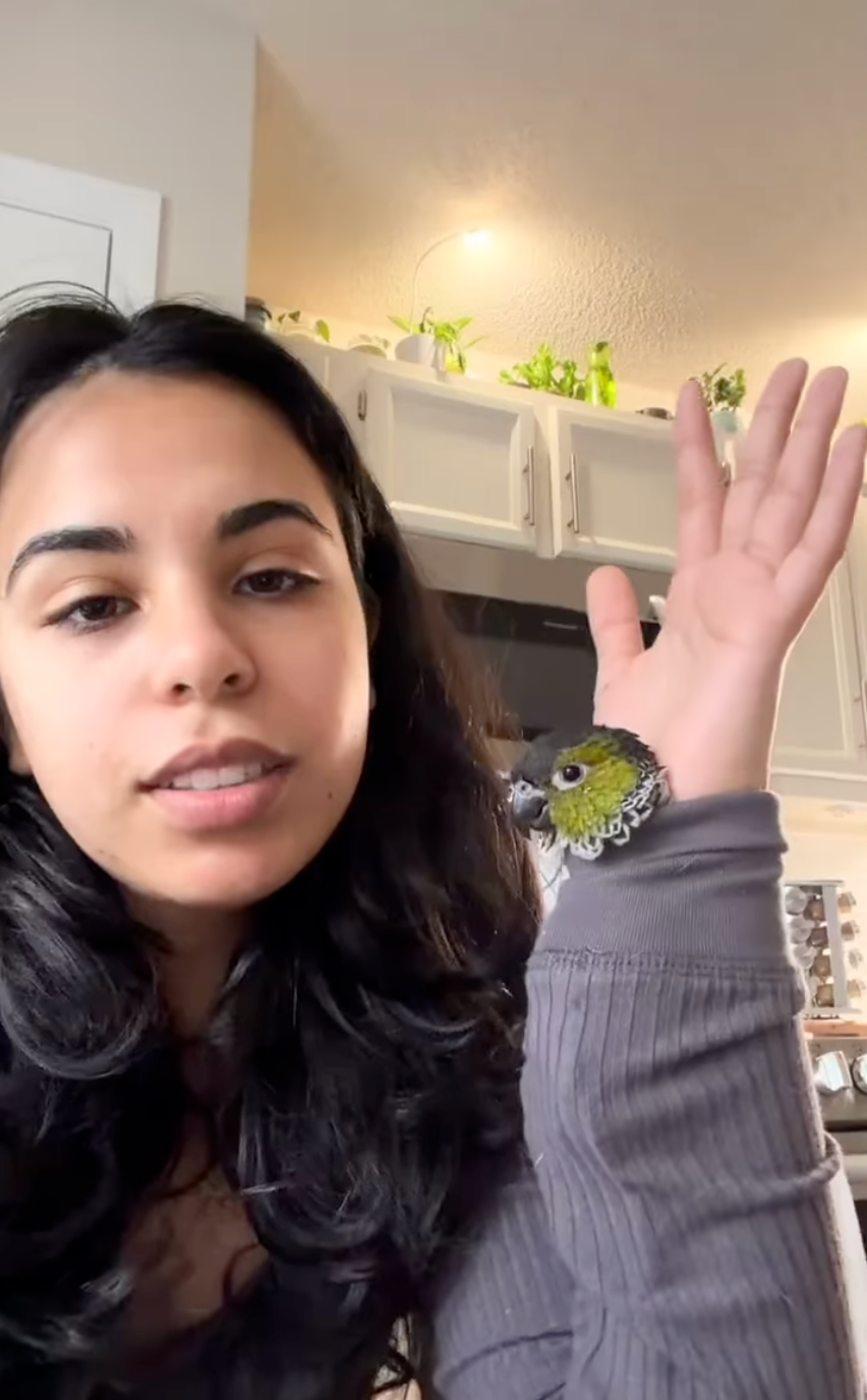 20 pure animal moments that will instantly soften your cold, dead heart