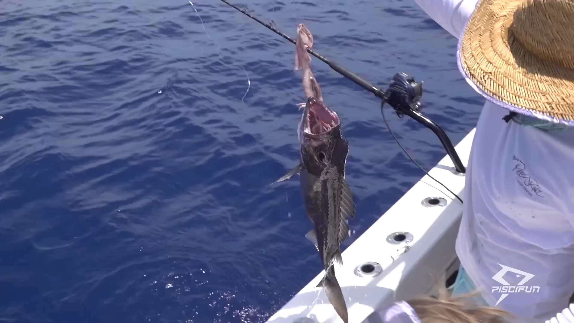 Catching a wild fish from 1500 feet down