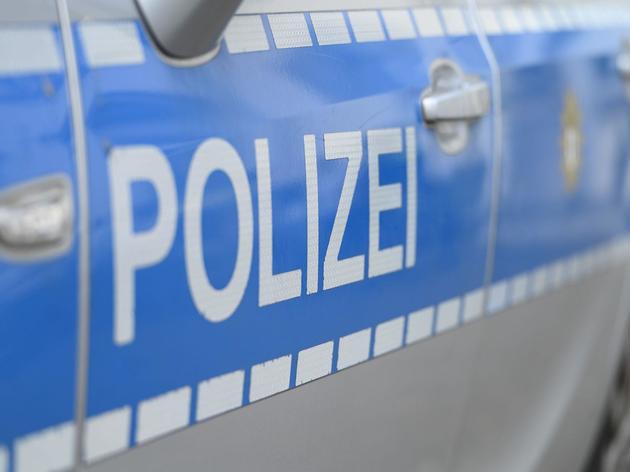 Schwarzer Windhund Menci in Murnau offenbar von Unbekannten in Auto ...