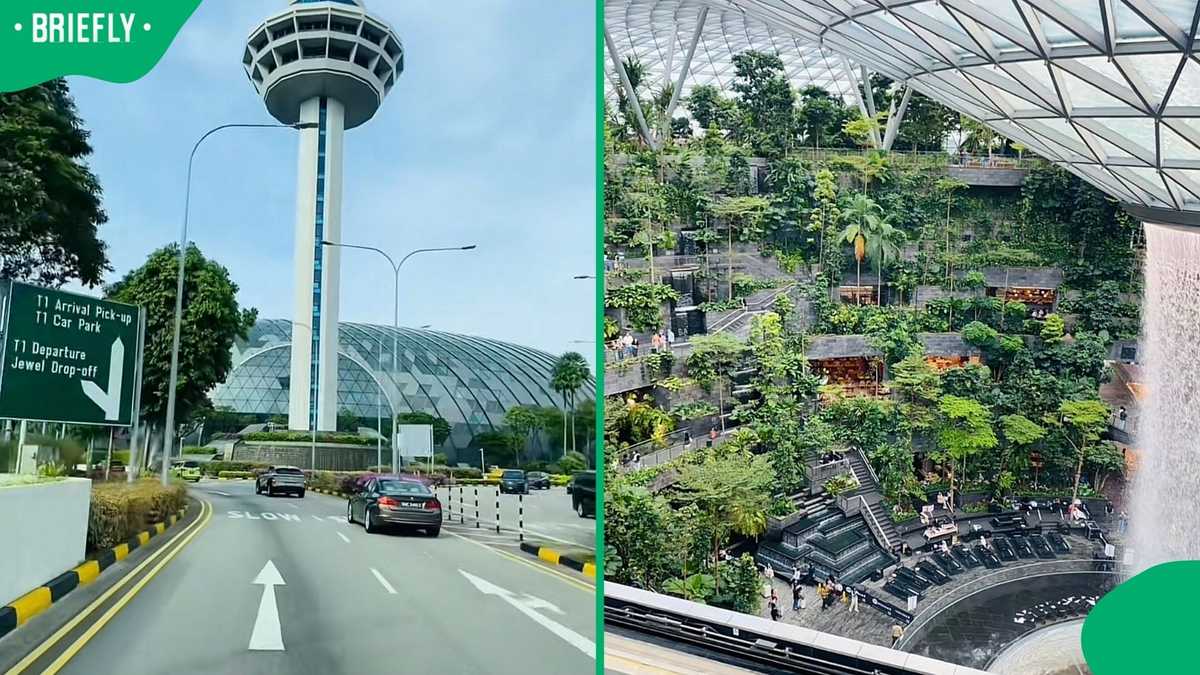 SA man tours world’s best airport and stuns Mzansi online