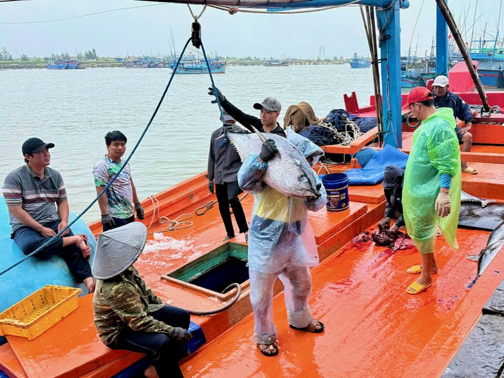 Đắk Lắk quảng bá du lịch từ cá ngừ và sầu riêng