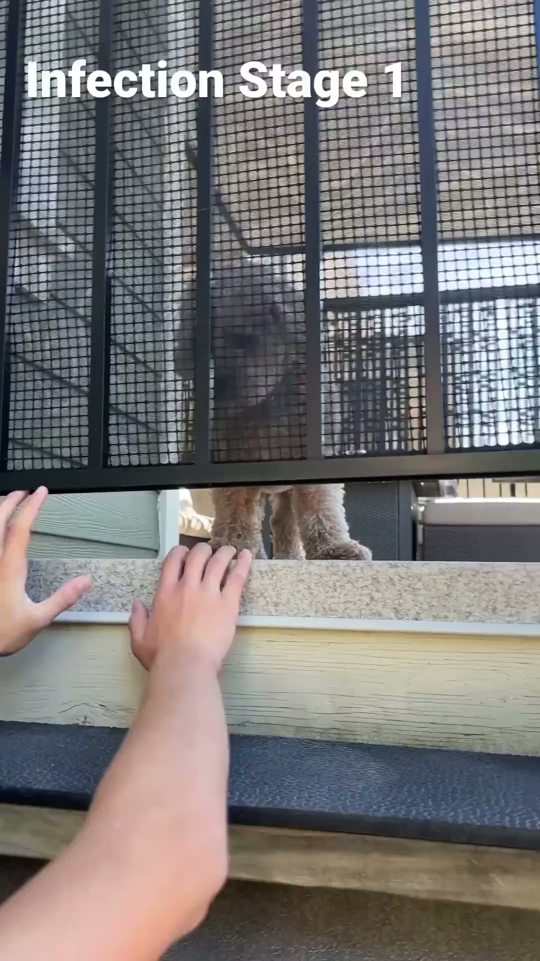 Nerf war: zombie attack