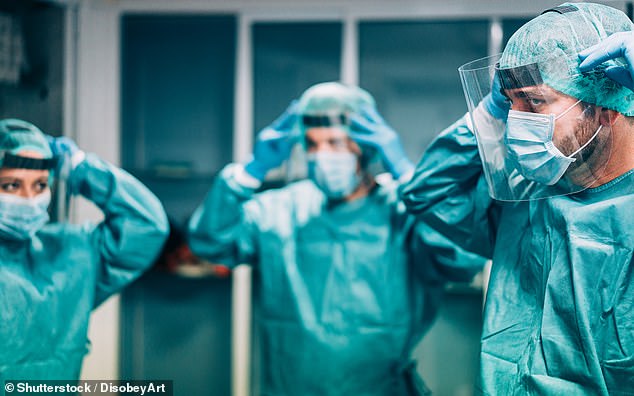 Deadly bat-borne virus sparks pandemic fears in Asia as countries ...