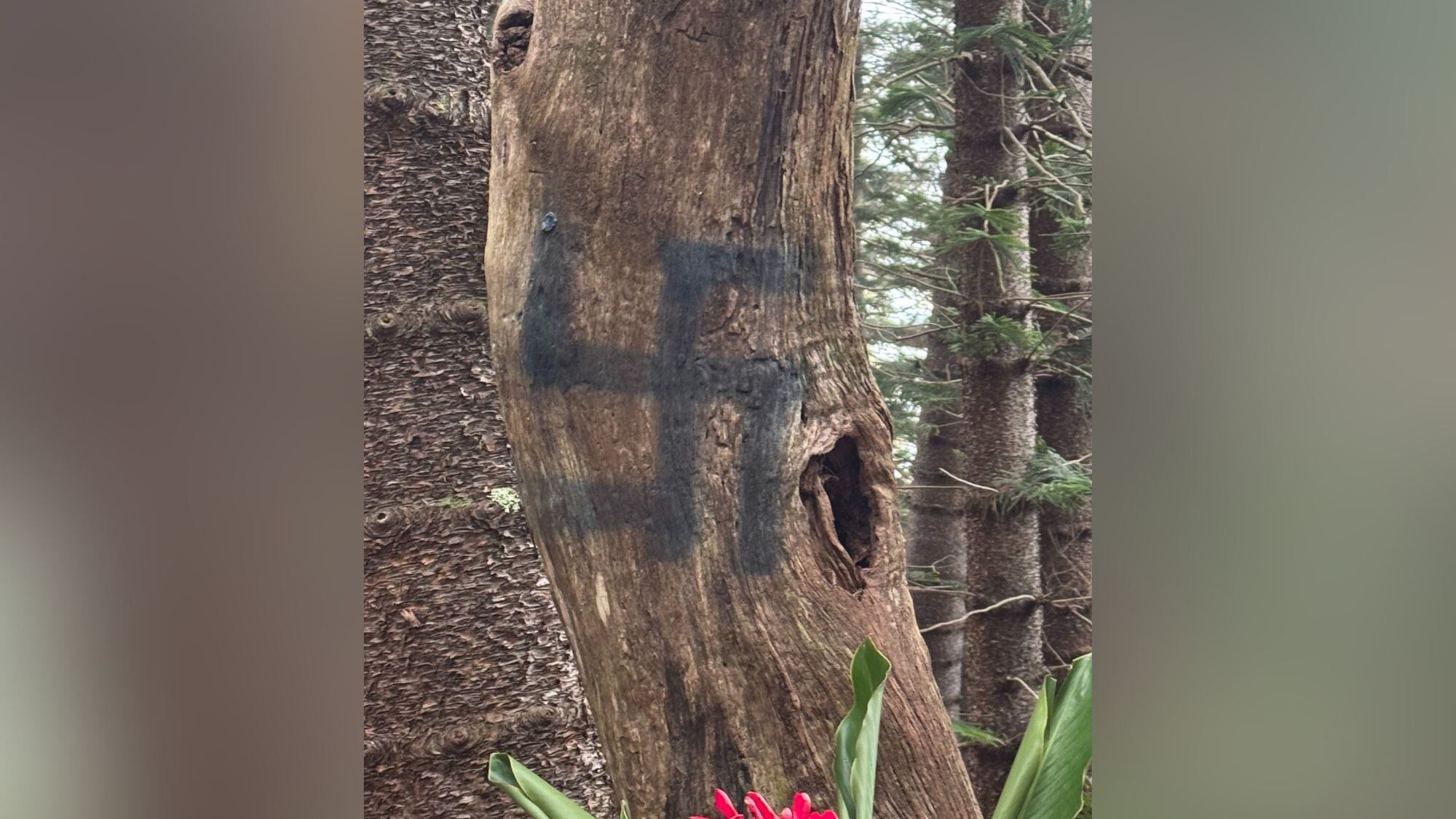 'Pure hate': Popular Kauai hiking trail spray-painted with swastikas