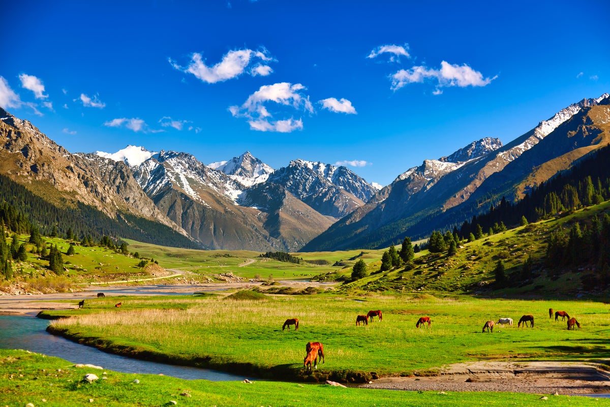 The seven hottest travel destinations to visit in 2026