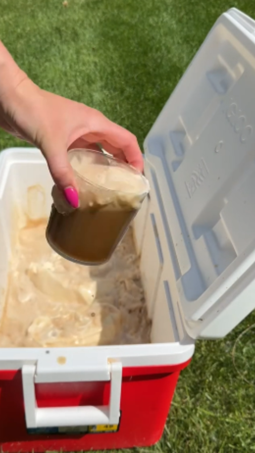 DIY ice cream drinks – easy, fun, and totally irresistible