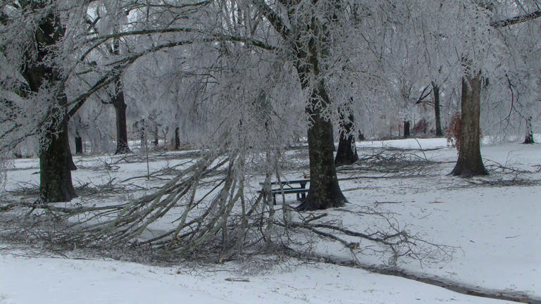 Ole Miss closes through Feb 1st as ice storm leaves campus with limited ...