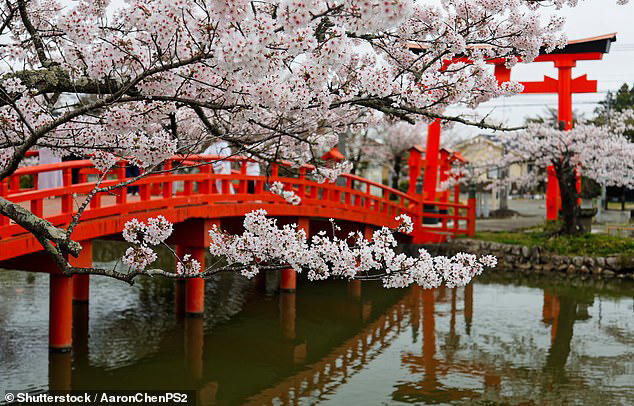 Why visiting one of Japan's most popular tourist sights could be even ...